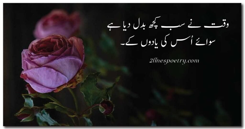 2 Line Sad Urdu Poetry | Heart Touching Sad Shayari - Two Lines Poetry